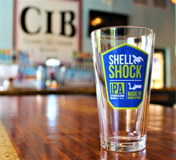 Buy 16oz Shell Shock Color - Best Brewery Merchandise - Cayman Islands ...